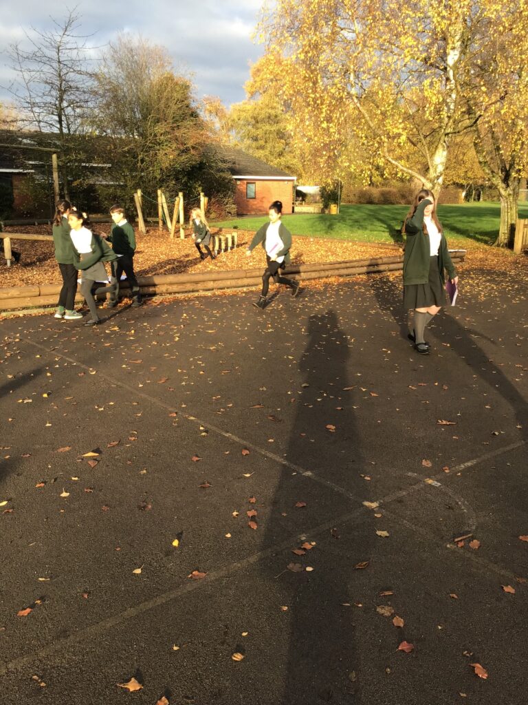 6B Science – Newport CE Junior School